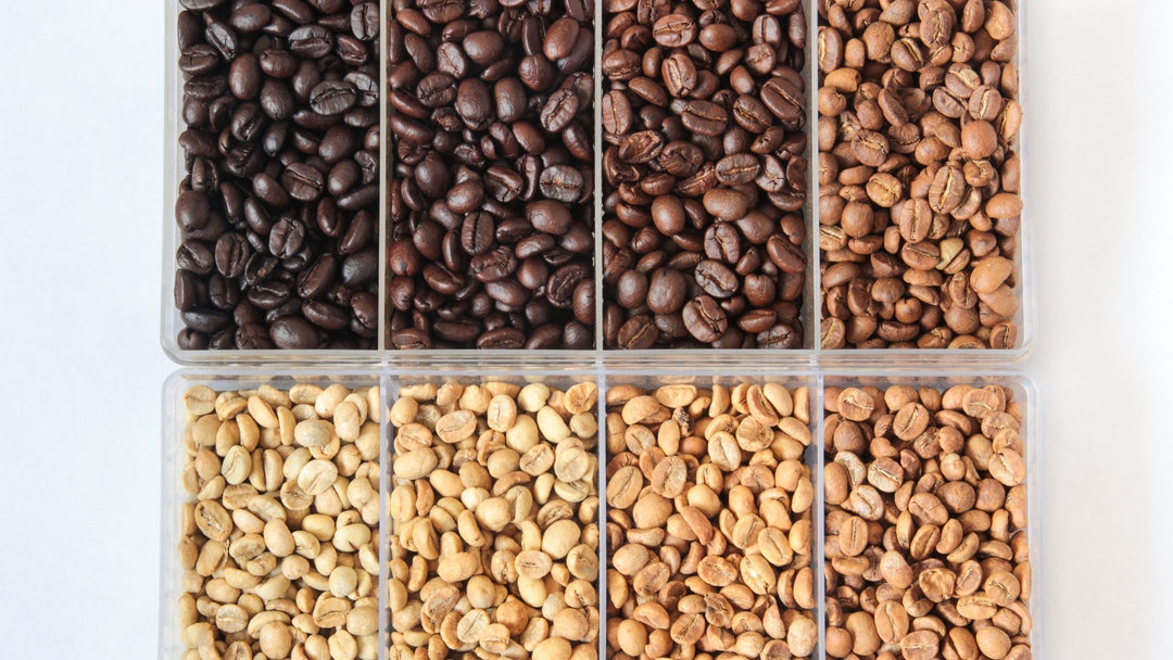 Coffee Roast Levels Guide: Light, Medium & Dark Roasts – Everyday ...